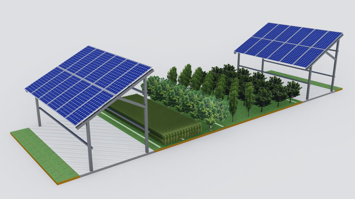 Agrivoltaics in India: How Solar & Farming Work Together
