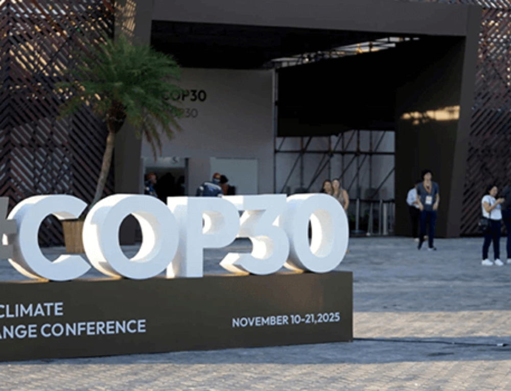 Capex vs Opex: Financing Models for BESS in India (2025)